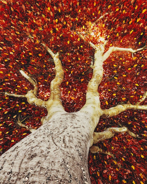 Shiny Crystal Animals – Fubiz Media