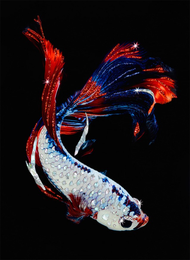 Shiny Crystal Animals – Fubiz Media