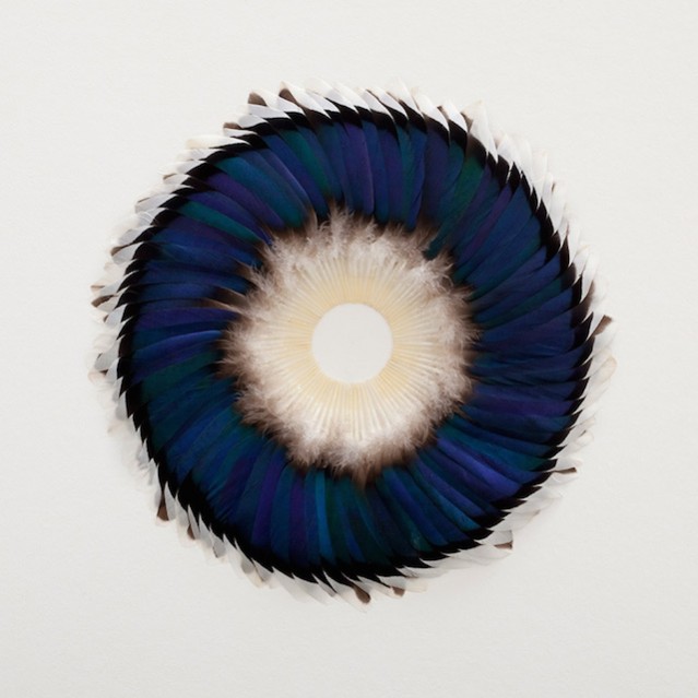 Organic Feathers Sculptures – Fubiz Media