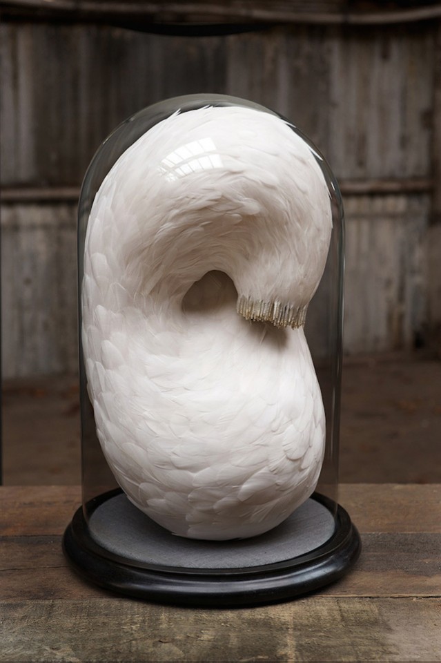 Organic Feathers Sculptures – Fubiz Media