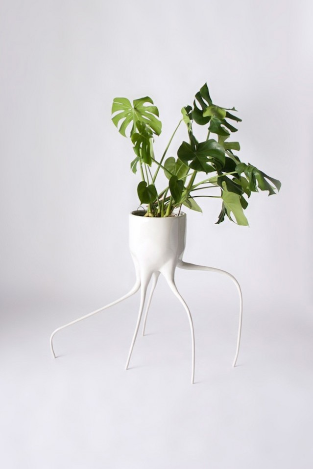 Monstera Pots for Plants – Fubiz Media