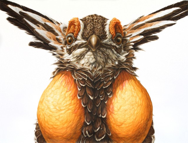 Hyperrealistic Animals Paintings – Fubiz Media