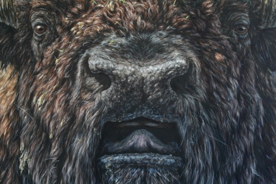 Hyperrealistic Animals Paintings – Fubiz Media