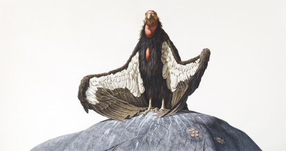 Hyperrealistic Animals Paintings – Fubiz Media