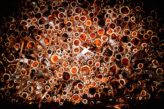 Inspiring Photography by Tyler Shields – Fubiz Media