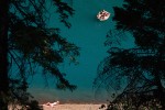 Inspiring Photography by Tyler Shields – Fubiz Media