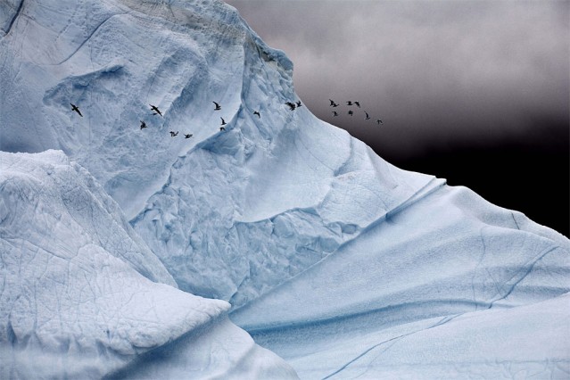 Melting Ice Effects Photography – Fubiz Media