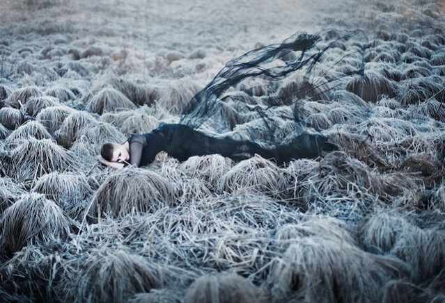 Surreal Nature Portraits – Fubiz Media