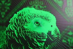 Visual Sculptures Made With Thread – Fubiz Media