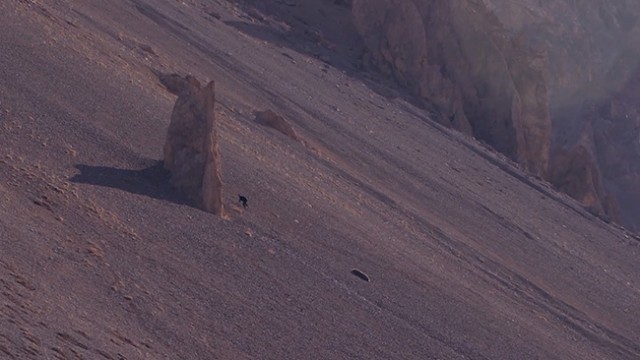 ARANDEL / Solarispellis Part II – Fubiz Media