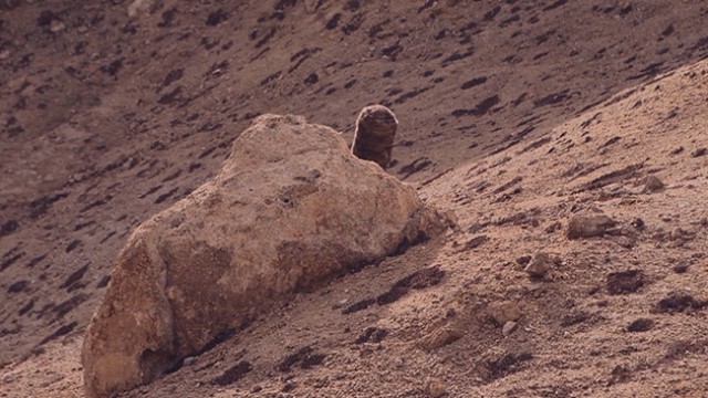 ARANDEL / Solarispellis Part II – Fubiz Media