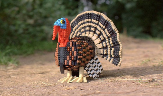 Birds in LEGO by Tom Poulsom – Fubiz Media