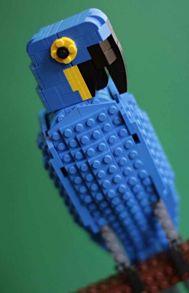 Birds in LEGO by Tom Poulsom – Fubiz Media