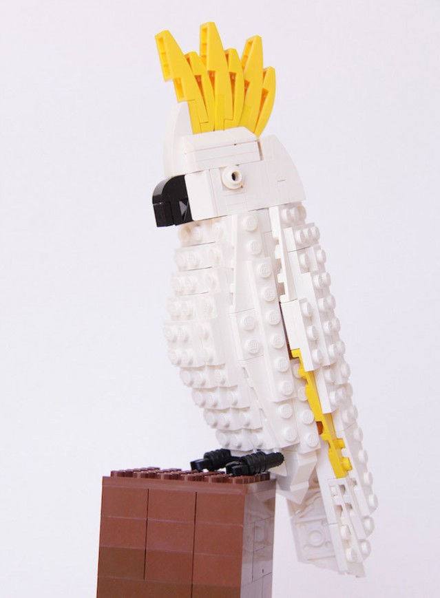 Birds in LEGO by Tom Poulsom – Fubiz Media