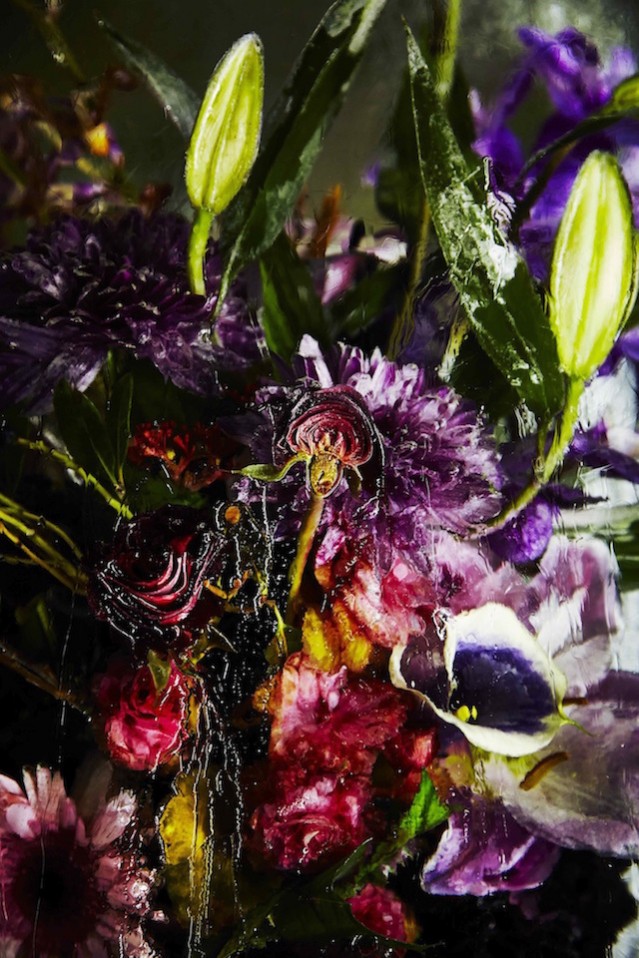 Iced Flowers Installations – Fubiz Media