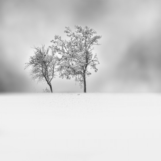 Minimal Snowscapes Photography – Fubiz Media
