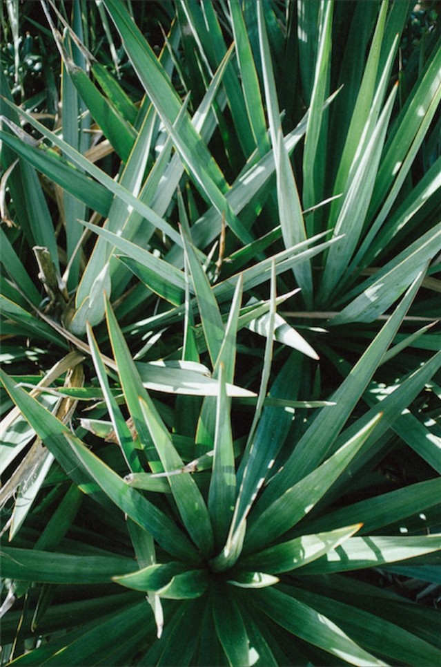 Valentin Chenaille Photography – Fubiz Media