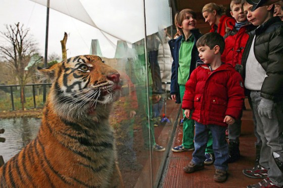 Animals at the London Zoo Photography – Fubiz Media
