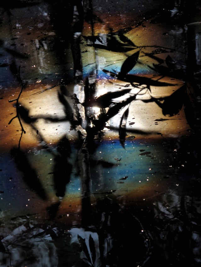 Abstract Nature Details – Fubiz Media