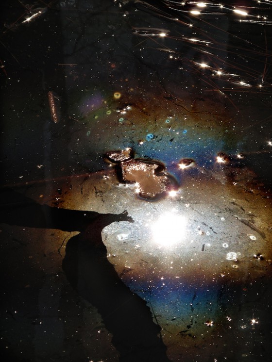 Abstract Nature Details – Fubiz Media