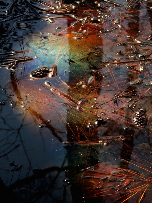 Abstract Nature Details – Fubiz Media