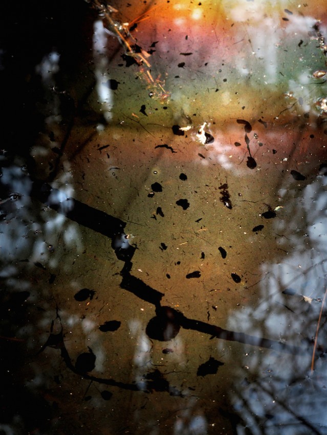 Abstract Nature Details – Fubiz Media