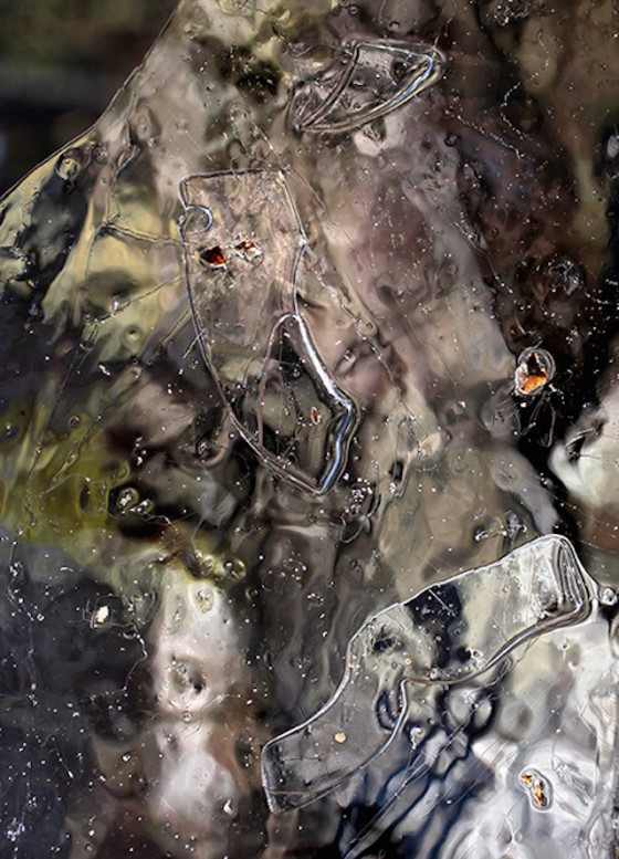 Abstract Nature Details – Fubiz Media