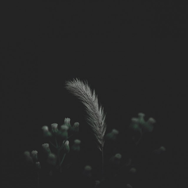 Atmospheric Photography Series – Fubiz Media