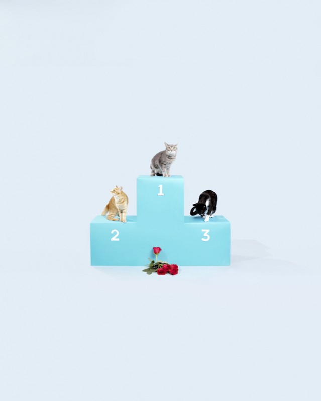 Visual Set Design by Andrew B. Myers – Fubiz Media