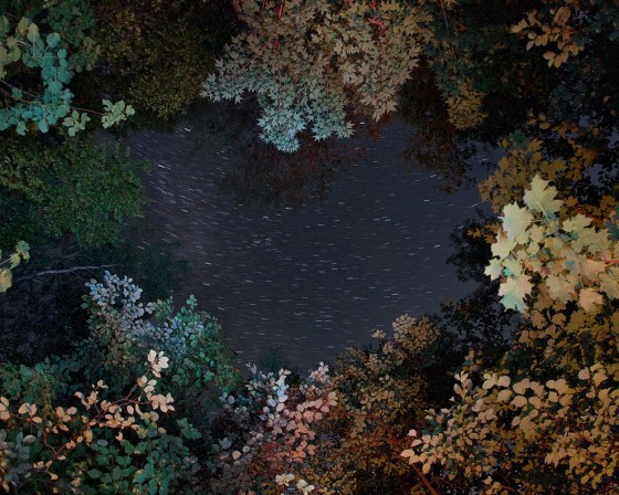 After Taking LSD Photography – Fubiz Media