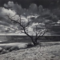 Hyperrealistic Paintings by Patrick Kramer – Fubiz Media