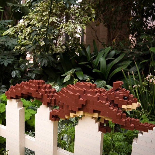 Lego Sculptures Inspired by the Natural World – Fubiz Media