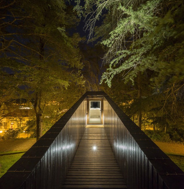 Portuguese Tree Snake House – Fubiz Media