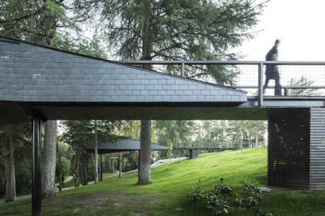 Portuguese Tree Snake House – Fubiz Media
