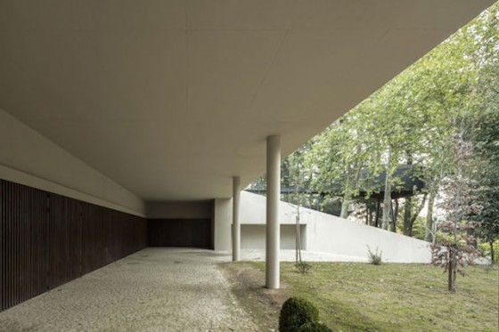 Portuguese Tree Snake House – Fubiz Media