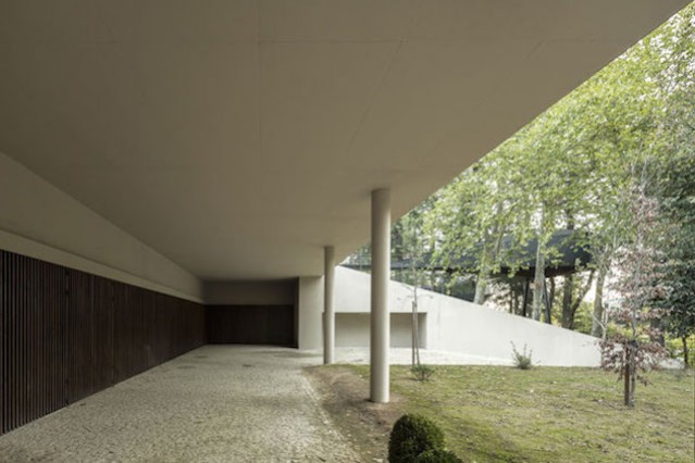 Portuguese Tree Snake House – Fubiz Media