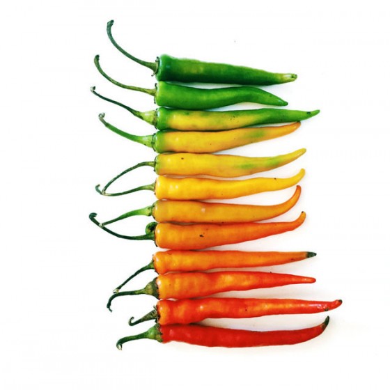 Food in Colorful Gradients – Fubiz Media