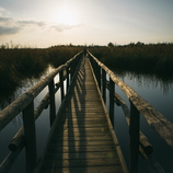 People in Landscapes by Simone Bramante – Fubiz Media