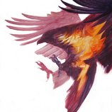 Animals Paintings with Brushstrokes – Fubiz Media