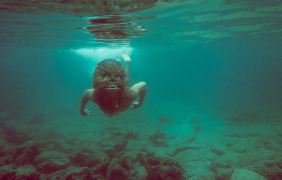 Portraits of Wookies from Star Wars – Fubiz Media