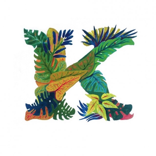 Alphabet Letters With Detailed Illustrations of Nature – Fubiz Media