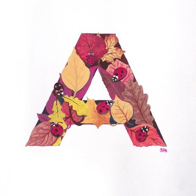 Alphabet Letters With Detailed Illustrations of Nature – Fubiz Media