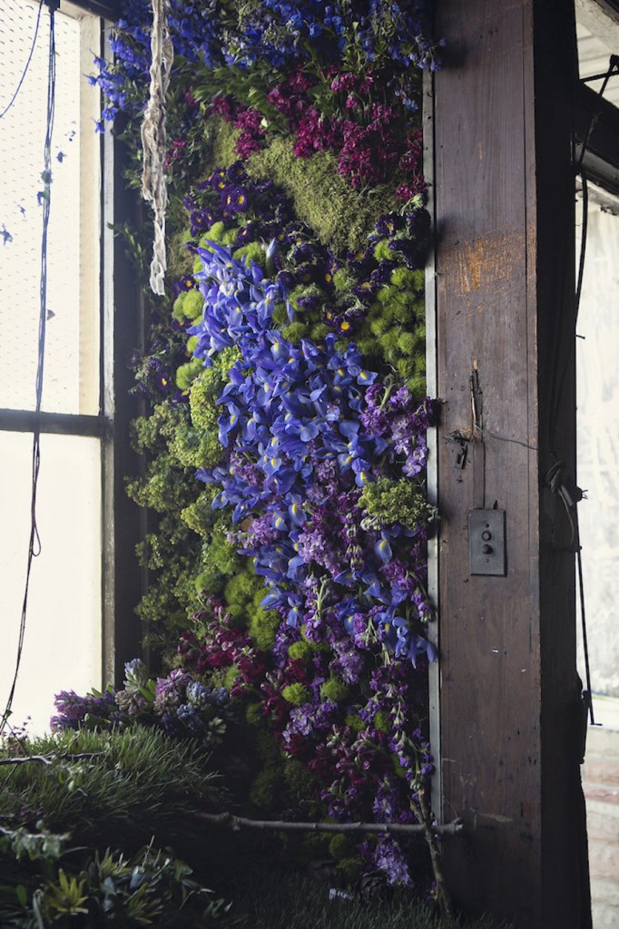 Abandoned Detroit House Filled by Flowers – Fubiz Media
