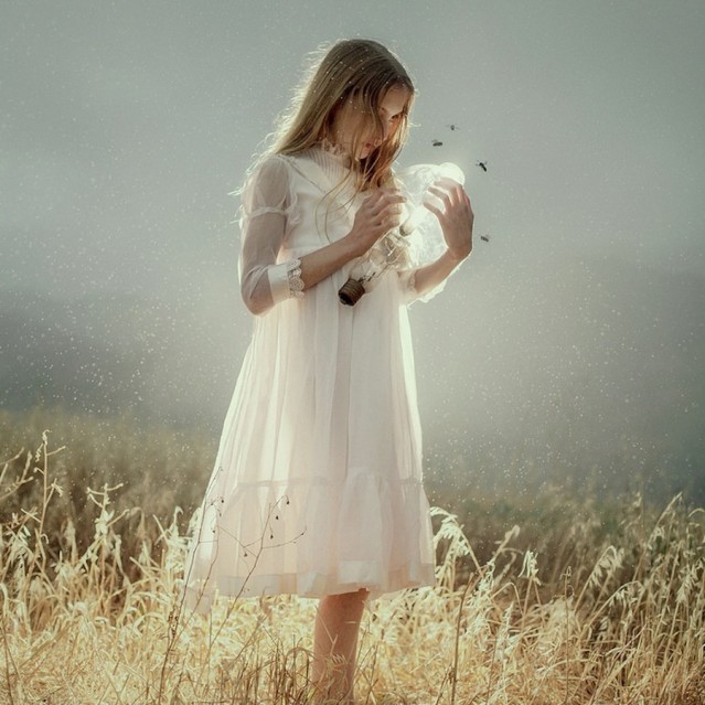 Dark and Magical World by Alex Stoddard – Fubiz Media