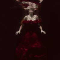 Dark and Magical World by Alex Stoddard – Fubiz Media