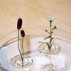Delicate Floating Vases – Fubiz Media