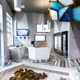Visual Fishmonger Interior Design in Montreal – Fubiz Media