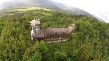 Abandoned Indonesian Church Shaped like a Chicken – Fubiz Media