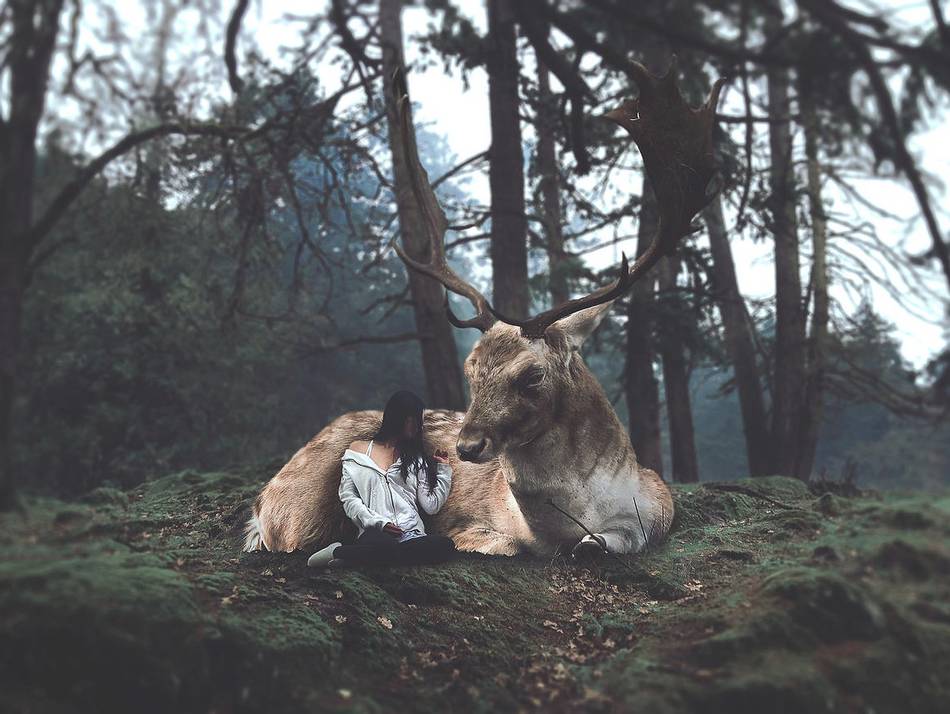 Fantasy World in Real Places – Fubiz Media