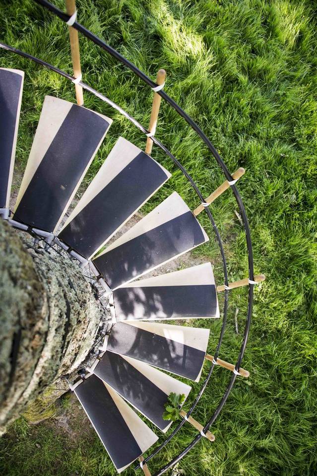 Stairs to Climb on Trees – Fubiz Media